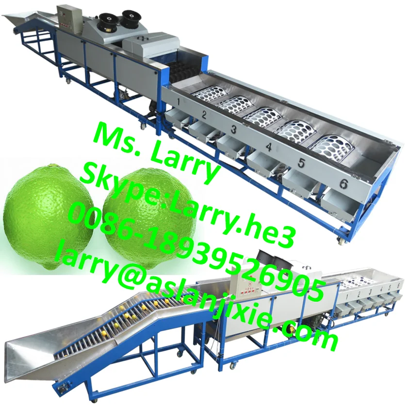 Lemon Washing Waxing Machine/lemon Washer And Sorter/lemon Waxing ...