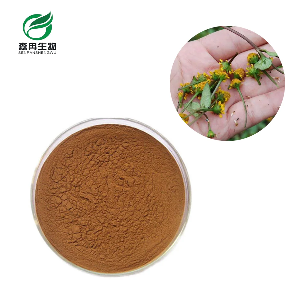 Pure Natural Organic Acmella Oleracea Extract Powder - Buy Acmella Oleracea Extract Powder ...
