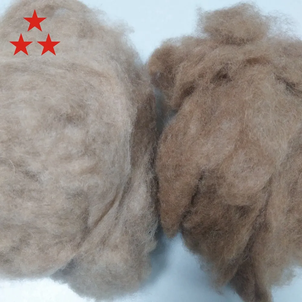 18.5mic Camel Fiber,Camel Hair,Textile Material - Buy Camel Fiber,Camel ...