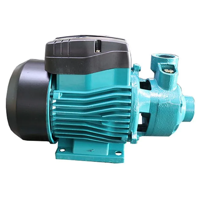 QB80 1 HP Water Pump - High Pressure Vortex Pump, Electric, OEM Support ...