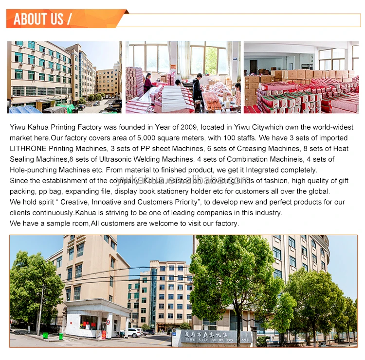 Project Envelope Expanding Plastic File Folder String-tie Closure Side ...