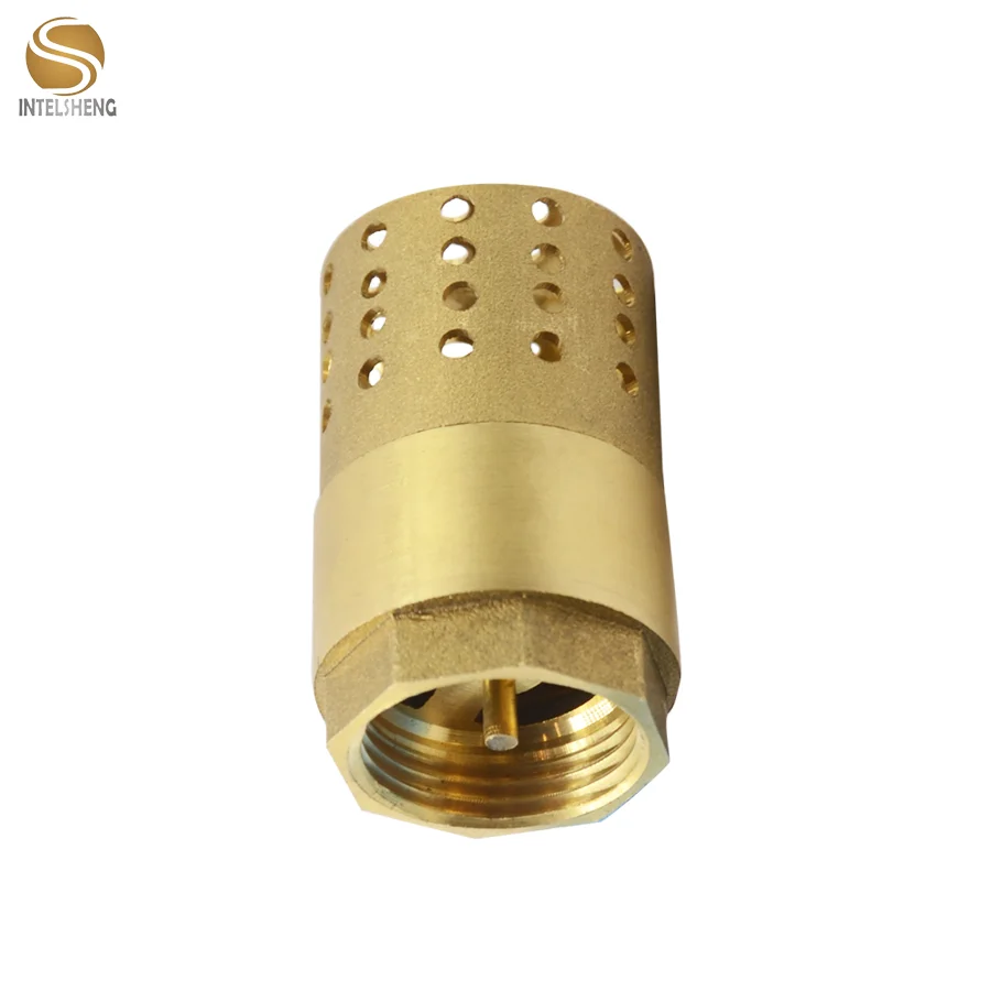 2 Inch Brass Poppet Female Thread Spring Check Valve