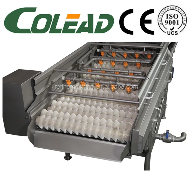 New Dates Sorting Machine Dates Machine Processing Datesfrom Colead ...