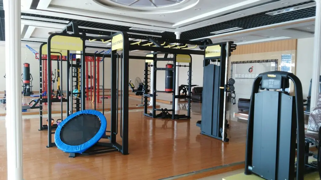 Multifunctional Gym Fitness Trainer Synergy 360 Machine - Buy Synergy ...