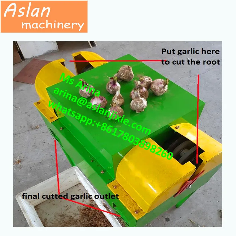 Dry Garlic Root And Stem Cut Machine/ Onion Top And Tail Cutter/ Flat ...