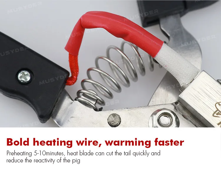 Veterinary Instrument Stainless Piglet/lamb Electric Heat Cutting ...