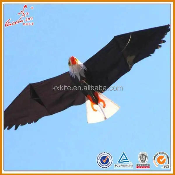 Easy Flying Modern Eagle Kite from Kite Factory - Kaixuan