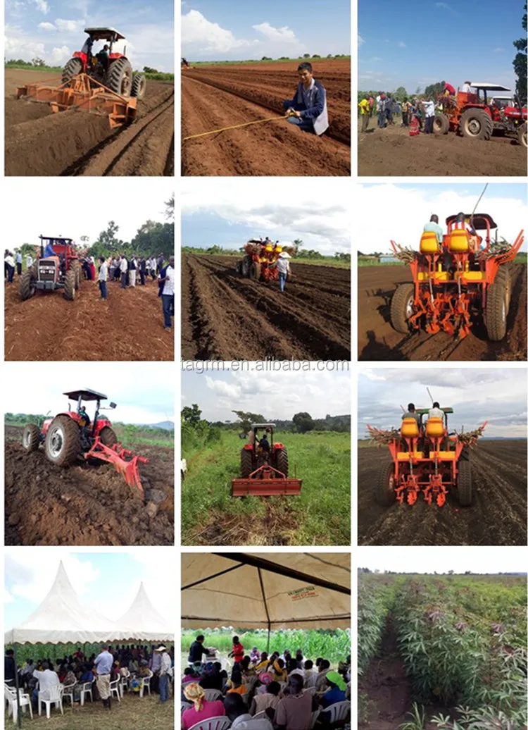 Two Rows Ridging Type Planting Machine - Easy Seeder Drawing