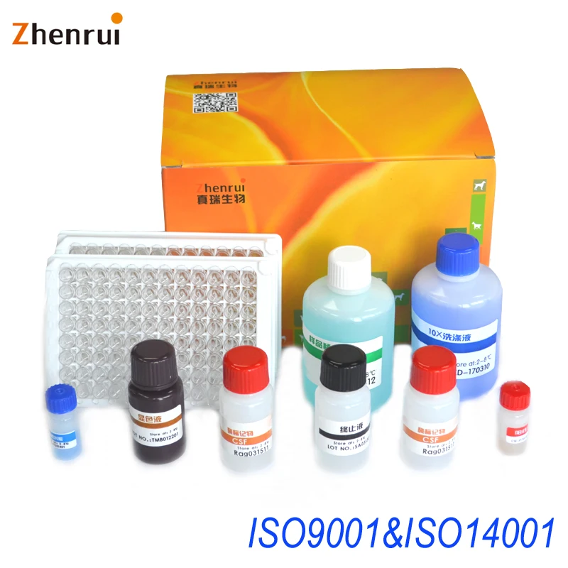 Bird Flu Diagnostic Flu A Test Avian Influenza Virus Aiv Antibody Elisa ...