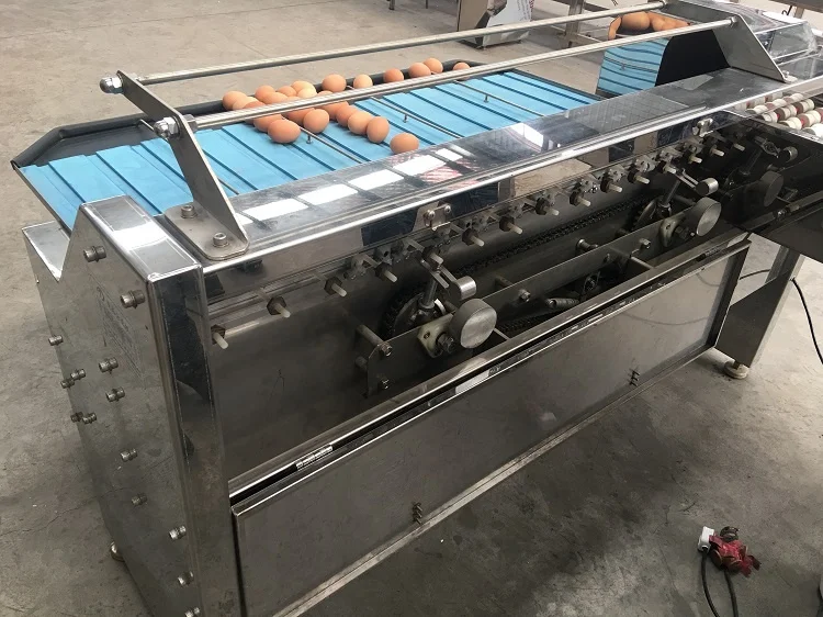 Automatic Candling Egg Grading Machine Egg Cleaning Equipment - Buy ...