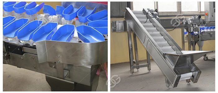 Automatic Papaya Cucumber Sorting Machine - Japan Grading