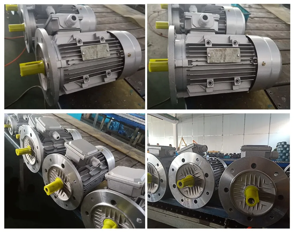 Ms Series 750w Three Phase Induction Motor Ms8024 - Buy Three-phase ...