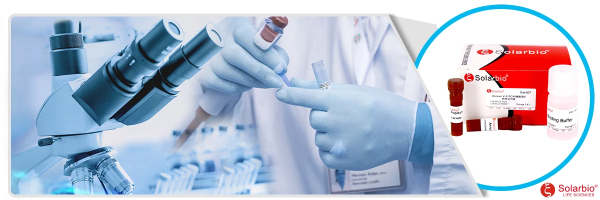 Beijing Solarbio Science & Technology Co., Ltd. - Stain Solution, Antibody