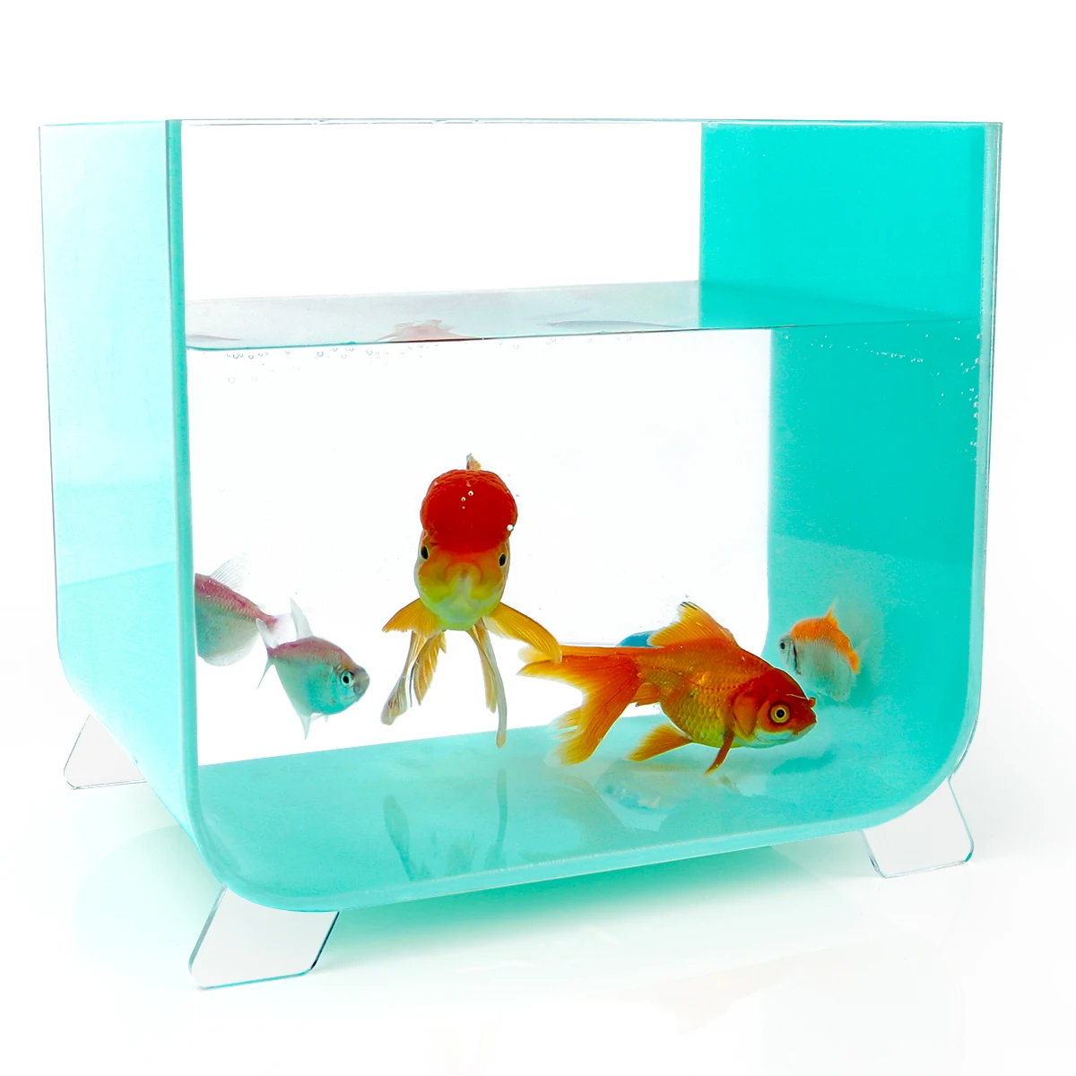 Acrylic Fish Tank - Durable, Eco-Friendly & Transparent