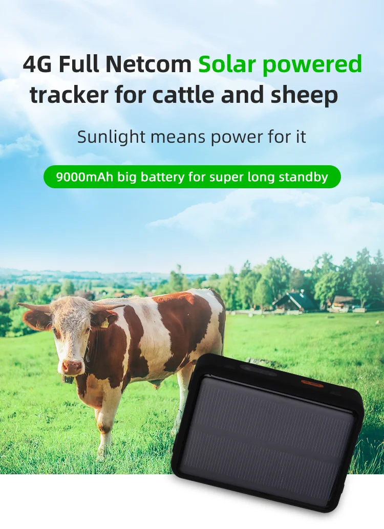 4G Cow GPS Tracker - Efficient Animal Monitoring