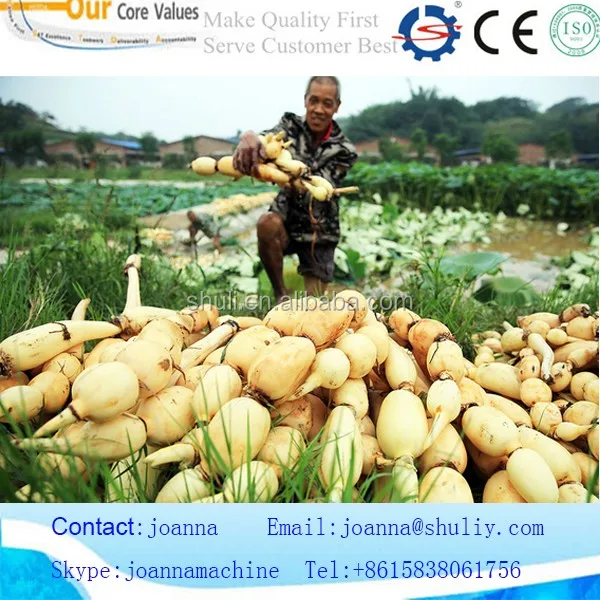 Automatic Lotus Root Digger|lotus Root Harvester - Buy Lotus Root ...