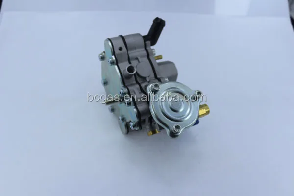 LPG Biogas Conversion Kit for Gasoline Generators