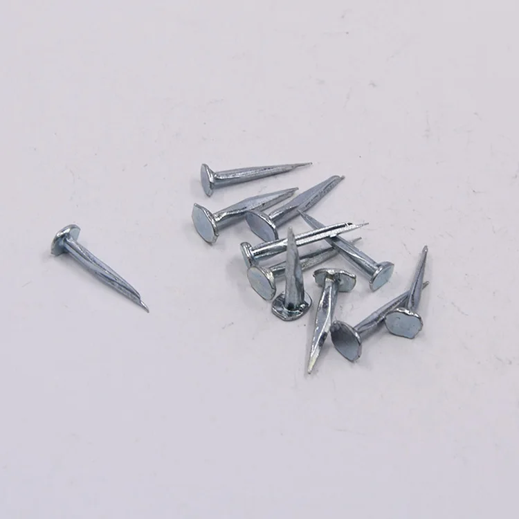 Best Quality Iron Q195 Zinc Galvanized Plated Shoe Tack Nails - Buy ...