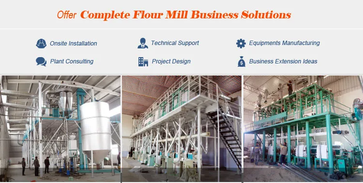 High Quality Dry Cassava Flour - Efficient Processing Machinery