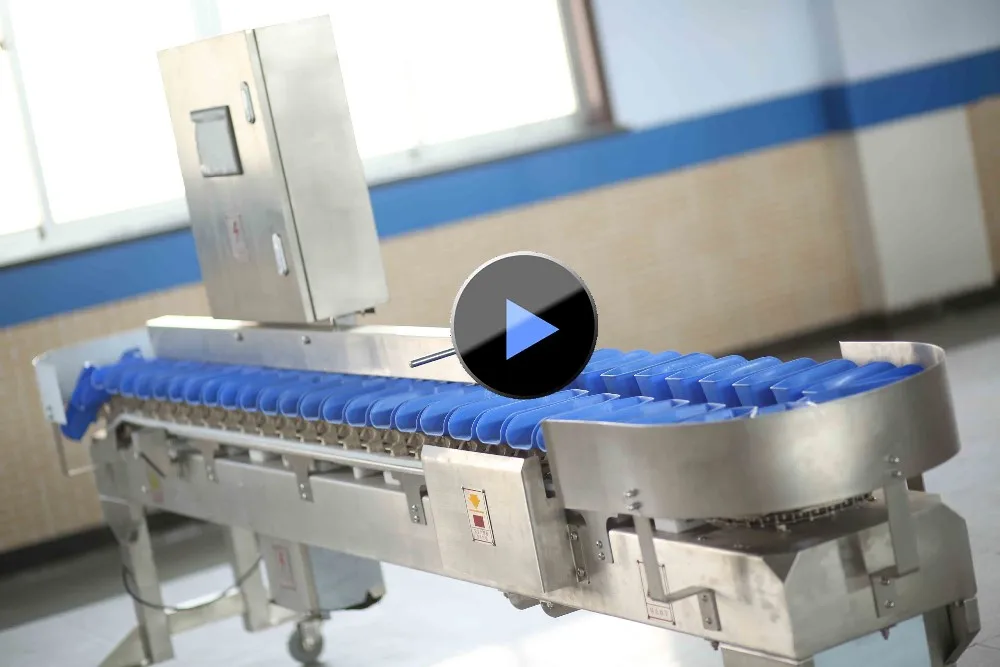 Automatic Food / Fruit Weight Grading And Sorting Machine - Buy Weight ...