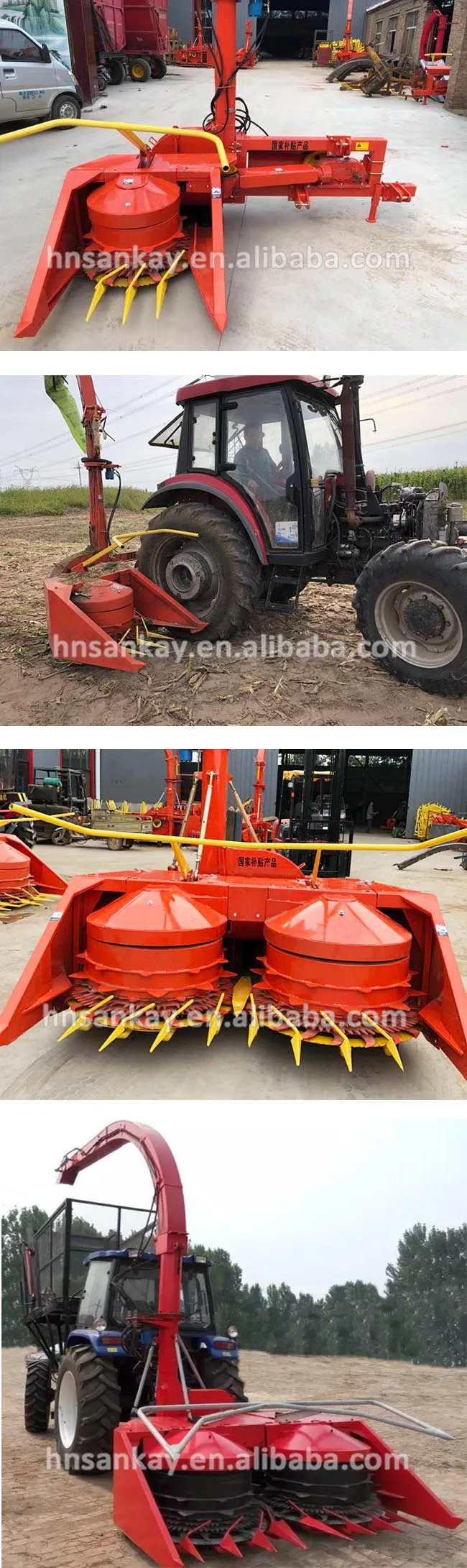 Small Napier Grass Forage Harvester for Sale - Easy to Operate