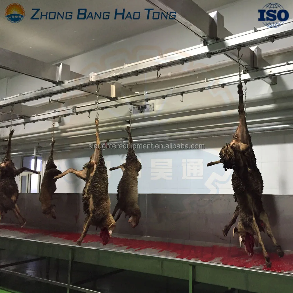 Sheep Slaughtering Machine Sheep Slaughtering House Slaughtering ...