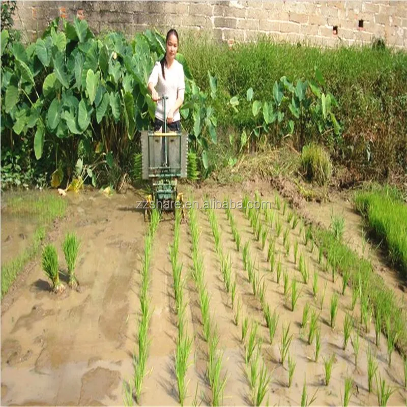 Mini Manual Rice Transplanter For Sale In Pakistan - Buy Mini Rice ...