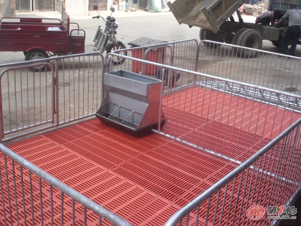 Piglet Nursery Pen with Pig House - Ideal Pig Farming Equipment