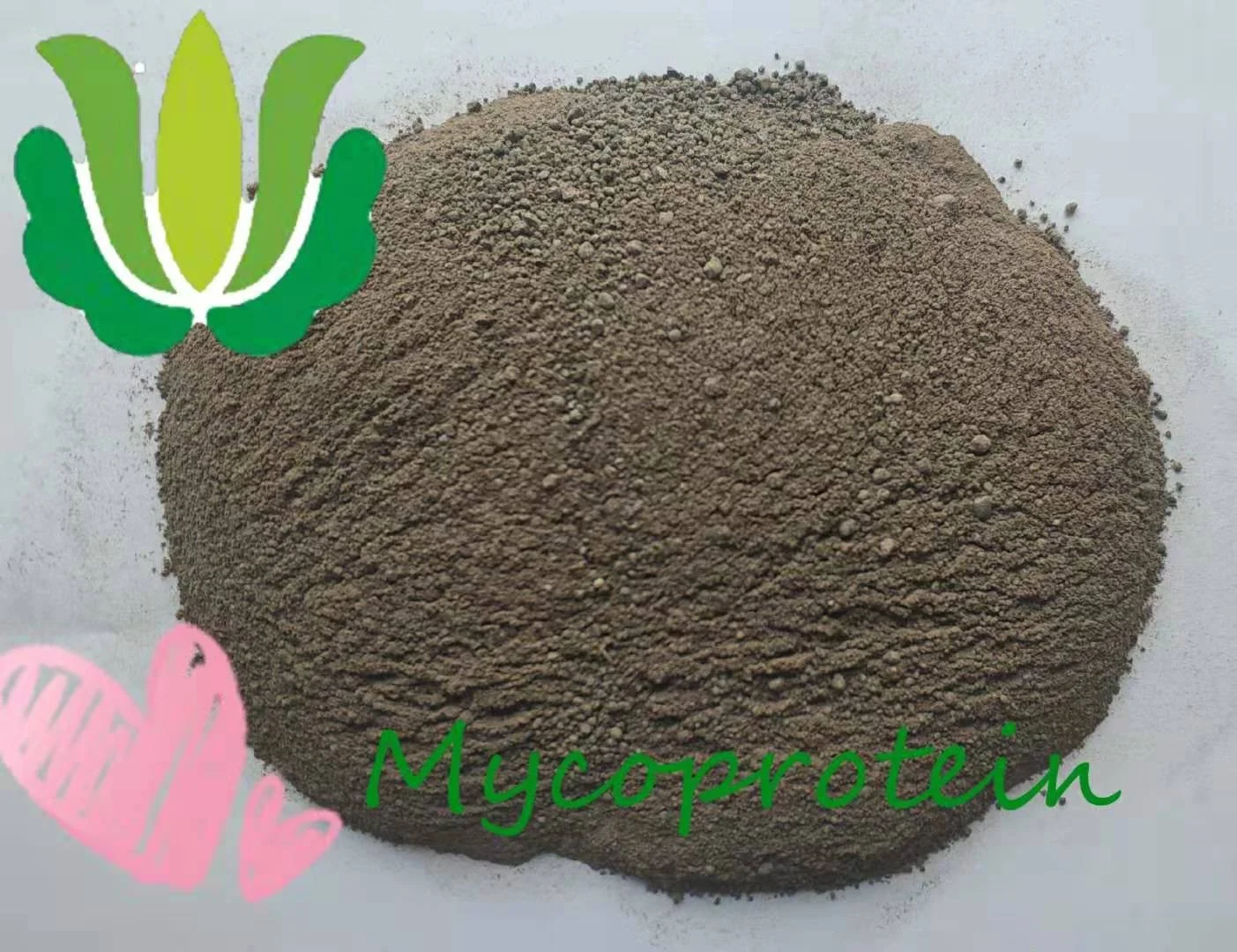 Single Cell Mycoprotein 75% Protein - Buy Chocolate Powder,High Protein ...