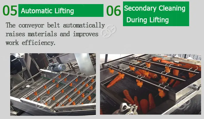 High Efficient Fruit Cleaning Line Green Vegetables Citrus Kelp Grape ...