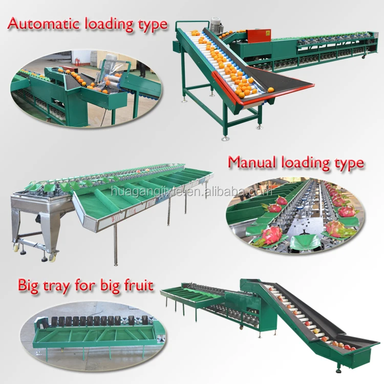 Mango Citrus Banana Sorting Machine - Buy Apple Sorting,Weighting Grade ...