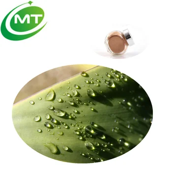 Agave Americana Leaf Extract/agave Americana Extract/agave Americana ...