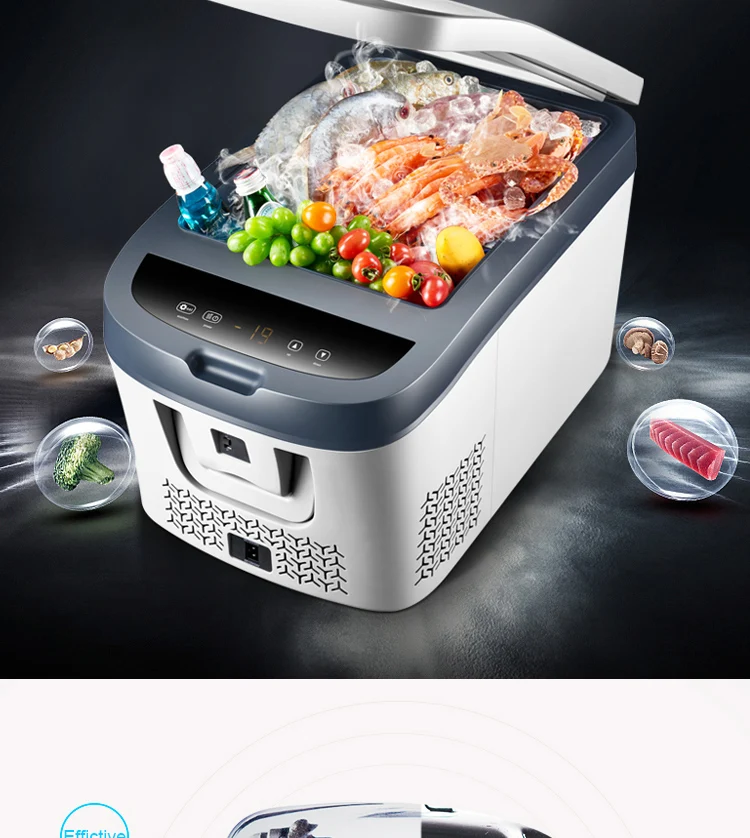 35L Refrigerator -20 Degrees Celsius Mini Compressor Fridge