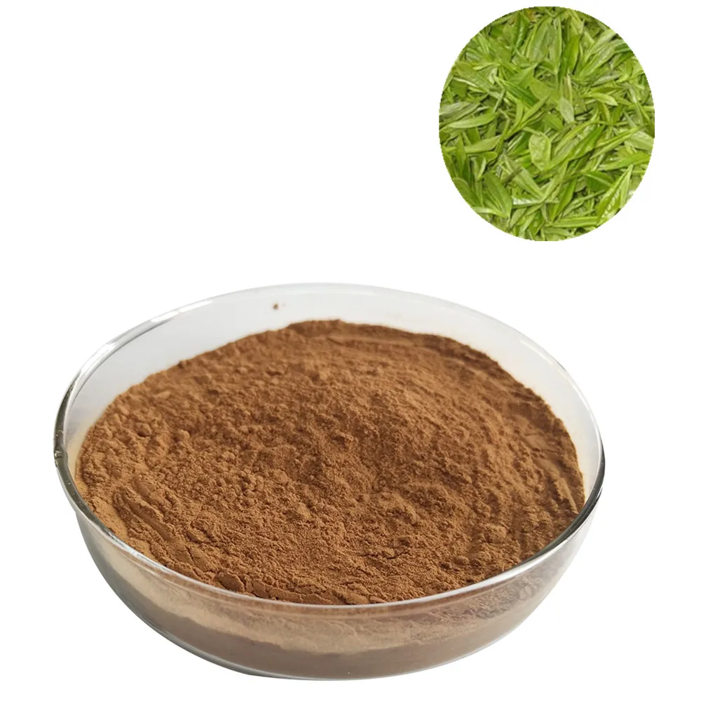 100% Natural Tea Catechins Powder - Buy Catechins Powder,Tea Catechins ...