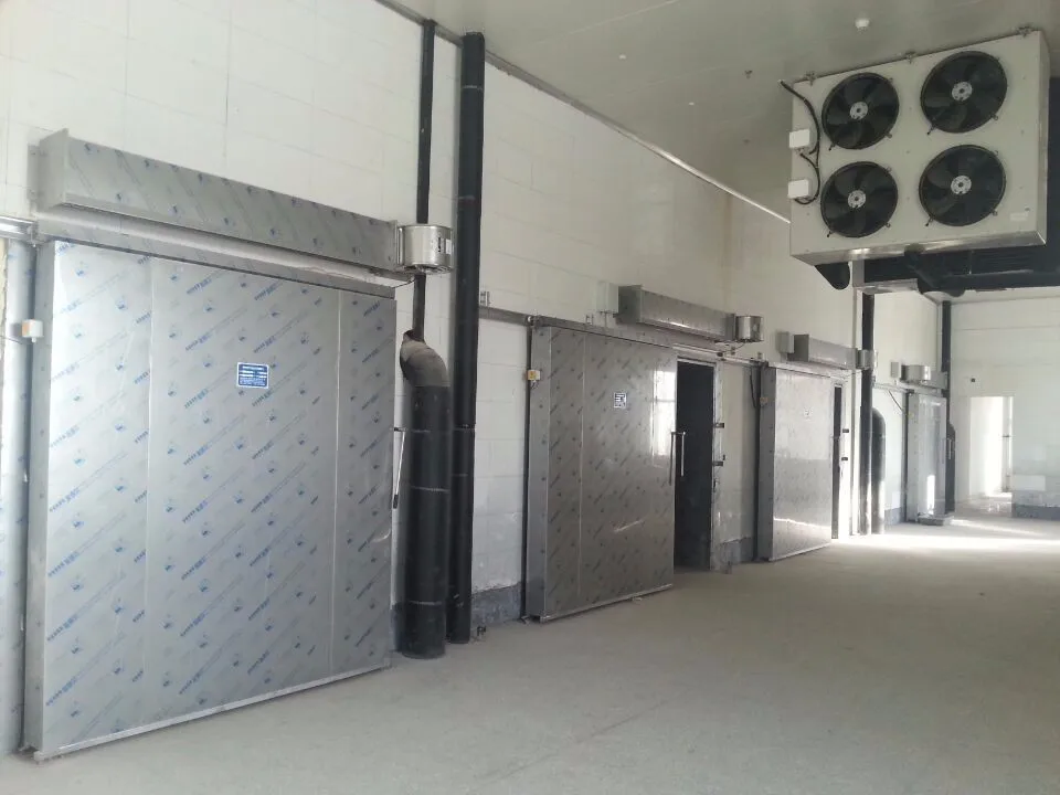 Modular Quick Freezer Cold Storage Room For Pig Slaughterhouse - Buy ...