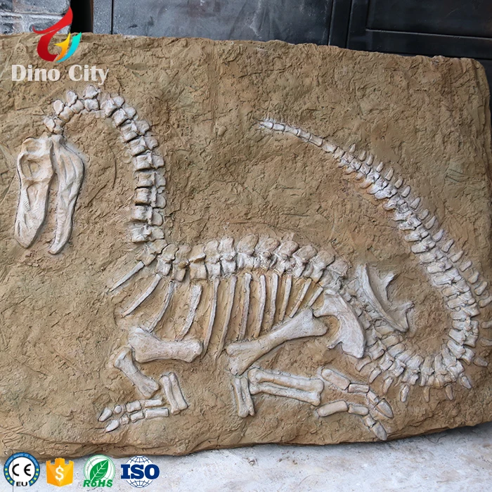 Museum Quality Dinosaur Fossil T-Rex Excavation Kit for Kids