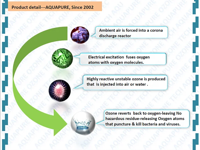 Approval Water Flow Switch Auto Ozonator Portable Design Ozone Water ...