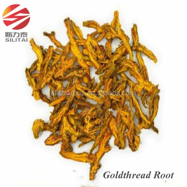 Chinese Raw Herb Medicine Dried Goldthread Root/rhizoma Coptidis/coptis ...