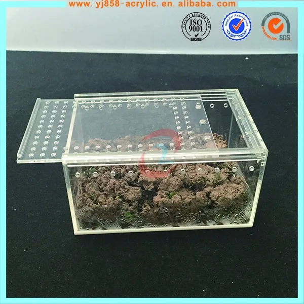 Acrylic Reptile Display Cases For Lizard,Spider,Tarantula - Buy Acrylic ...