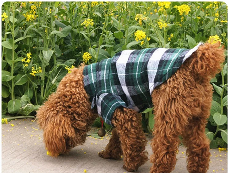 Spring Anti-Mosquito LED Dog Polo Shirt - Cool & Sustainable