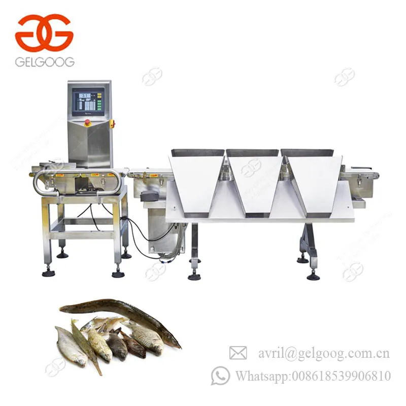 Fish Grading Machine - Accurate Seafood Sorting Solutions
