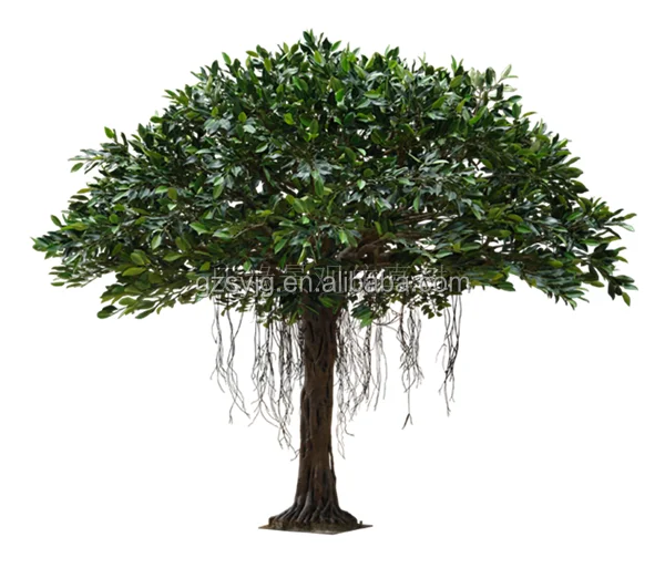 Simulation of Large Artificial Banyan Trees Can Be Customized Perfect ...