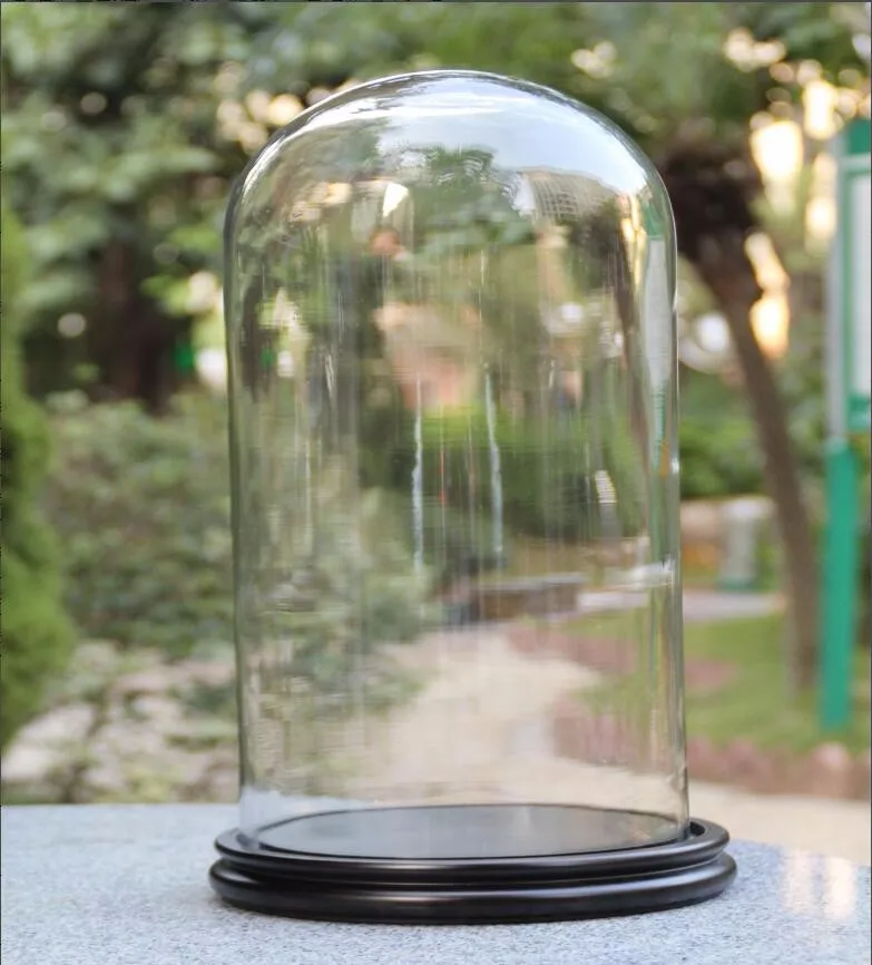 D15xh40cm New Product Large Glass Dome Glass Display Dome With Wooden ...