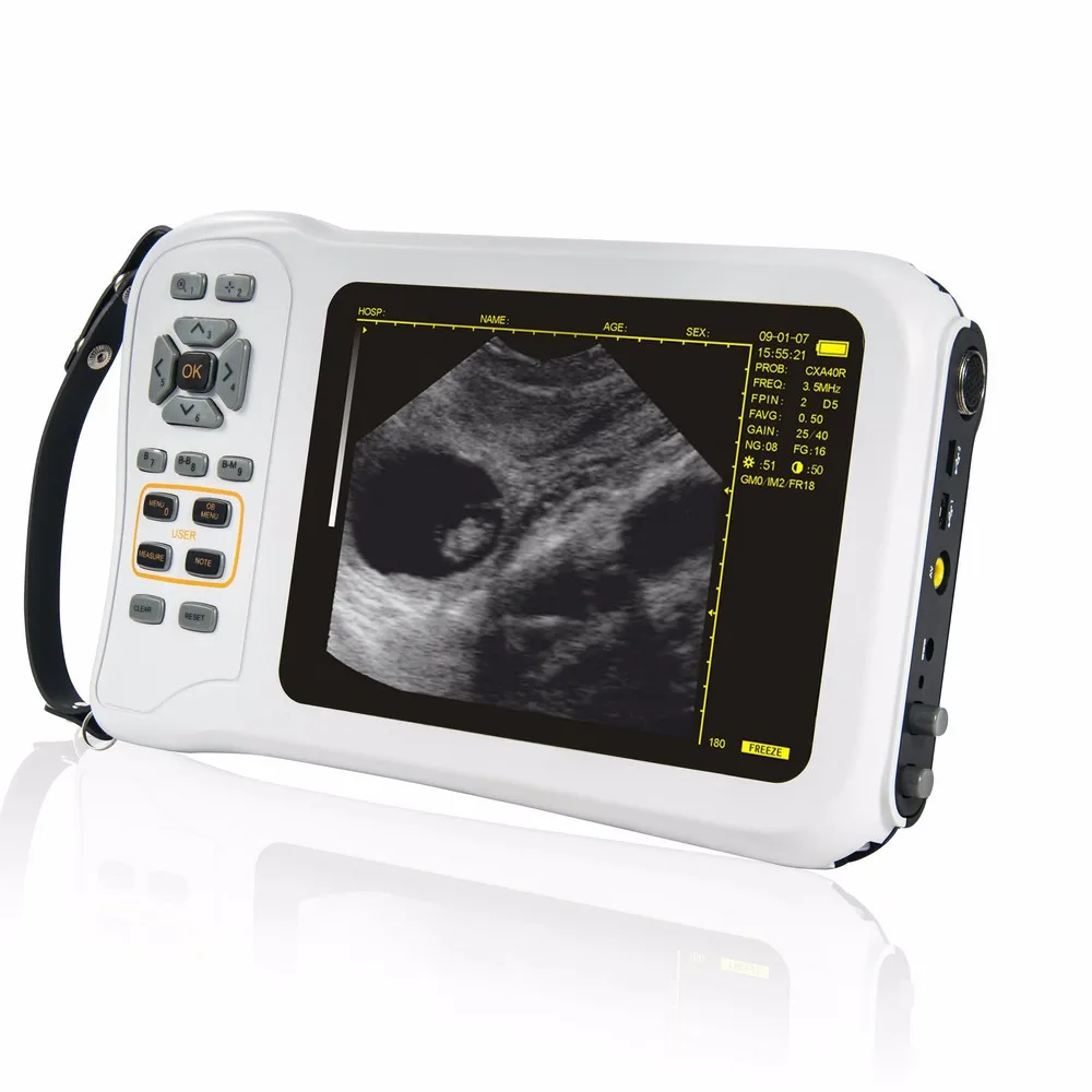 Chinese Handheld Mini Portable Ultrasound Machines For Cavitation ...