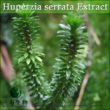 100% Pure Chinese Club Moss Extract Huperzine A Powder - Buy Chinese ...