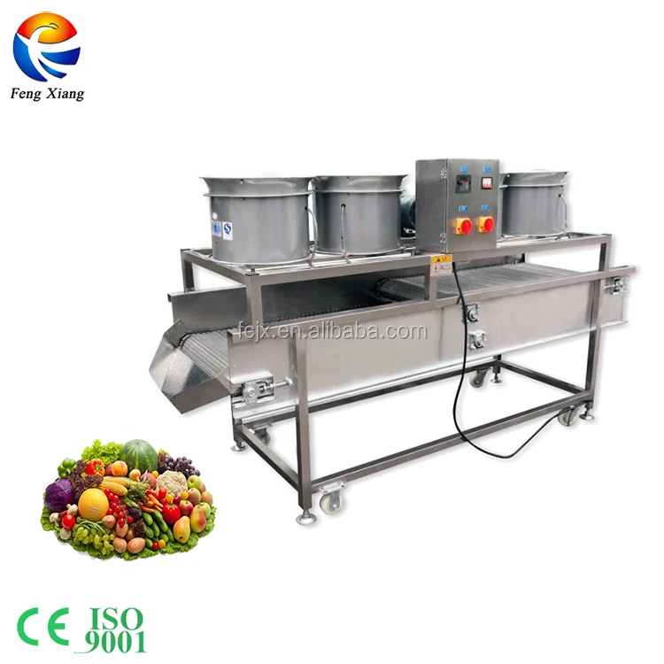 Fruit And Vegetable Drying Processing Production Line / Fruit Drying ...