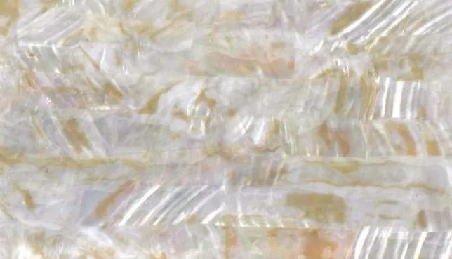 River Shell Sheet - Natural Mother of Pearl for Art Crafts