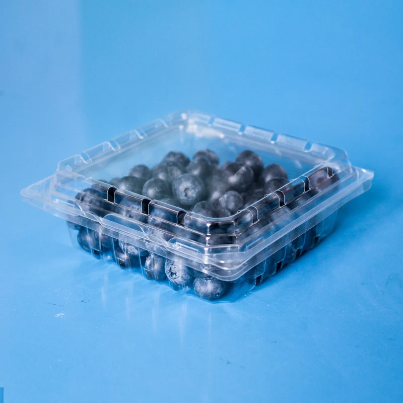6 Oz Raspberry Clamshell - 170gr Blueberry Plastic Punnet