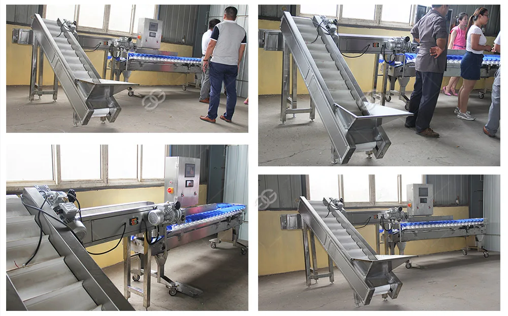 Automatic Papaya Cucumber Sorting Machine Japan Cucumber Grading ...