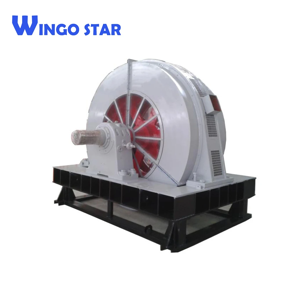High Voltage Large Three Phase Synchronous Motor Power Plant Electric ...
